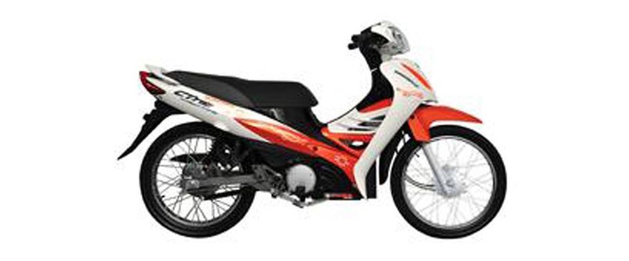 Discontinued Modenas Ctric Features & Specs | Zigwheels